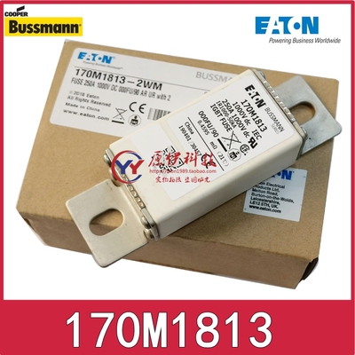 bussmann170M1813250A