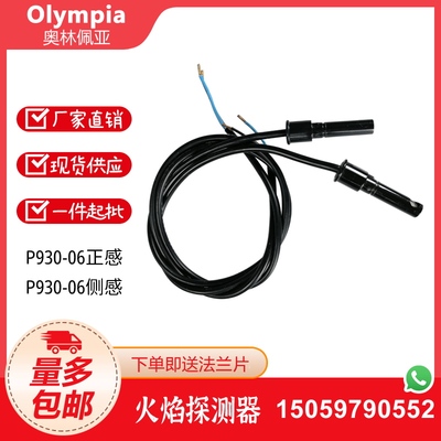 燃烧机配件奥林匹亚火焰探测器