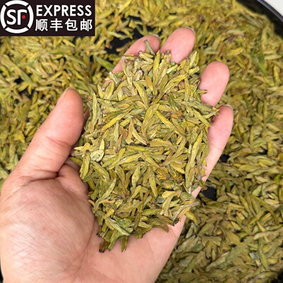 【遂昌龙井43】2026高山绿茶黄板豆香型125克罐装