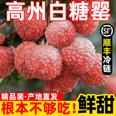 广东茂名高州白糖罂荔枝果园现摘当季新鲜孕妇水果整箱顺丰冷运