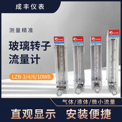 常州成丰微小流量气体液体测量