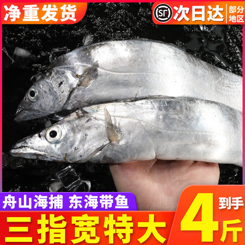 4斤舟山东海特大级带鱼小眼睛整条新鲜冷冻鲜活海鲜水产深海刀鱼