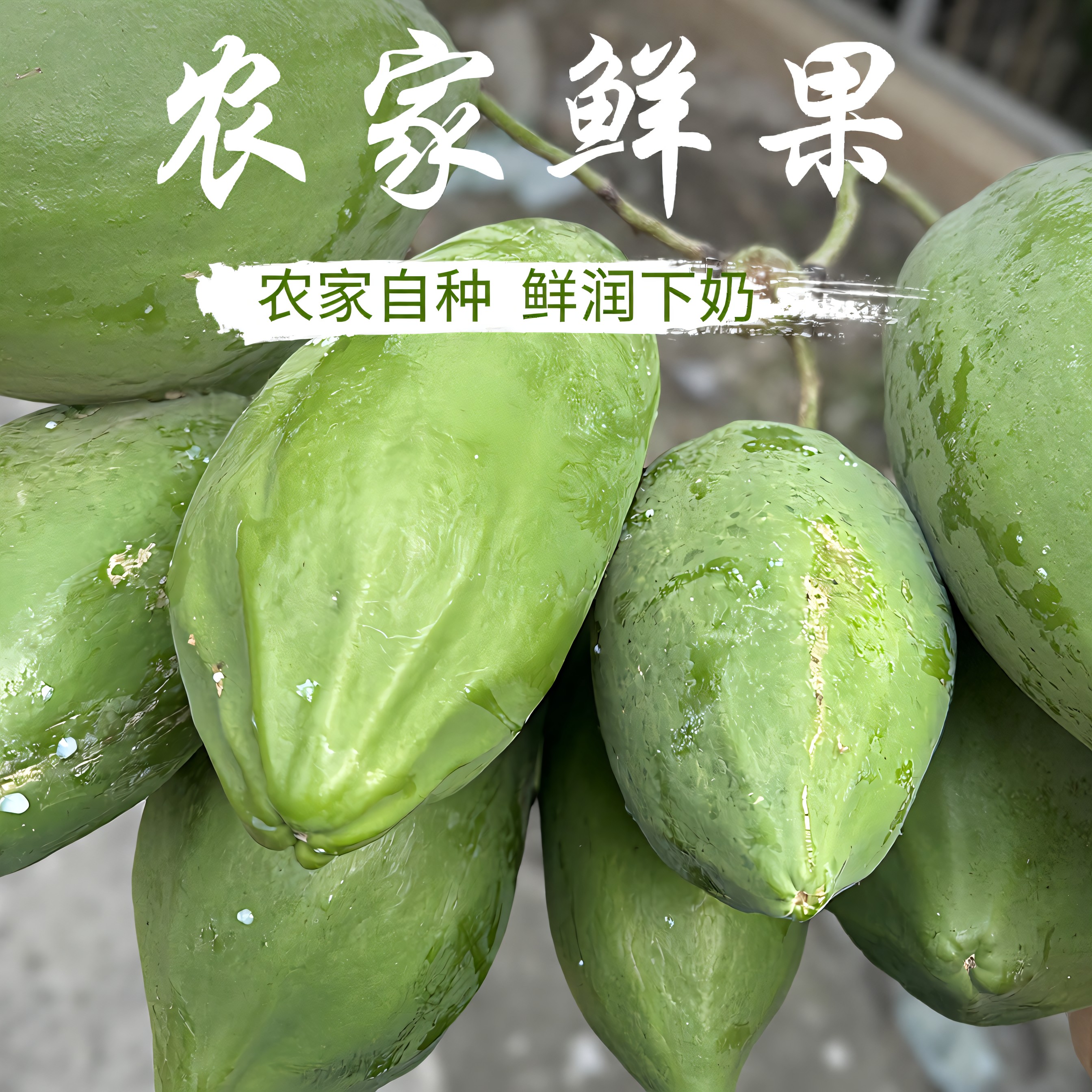 广西新鲜青木瓜产妇下奶泰式凉拌蔬菜水果农家自种青皮生木瓜整箱
