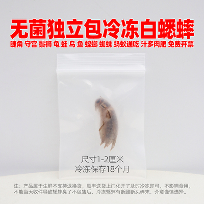 无菌袋装鲜活冷冻白蟋蟀黑油葫芦