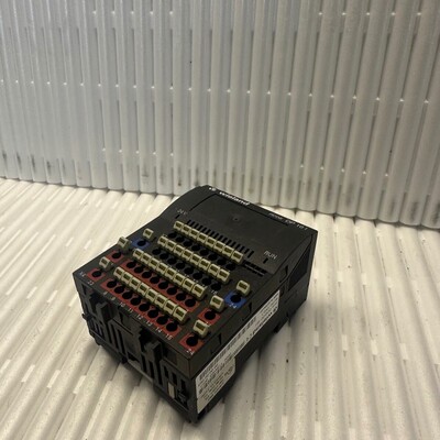 Wieland ricos COM-DP 16 Ausgangsmodul