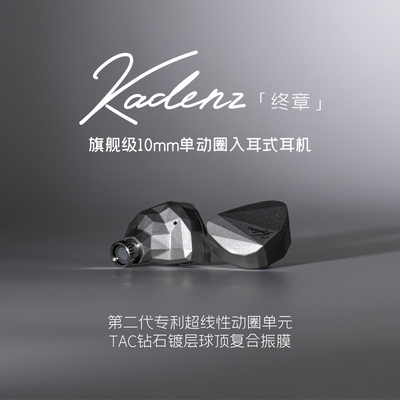 水月雨 终章KADENZ 钻石镀层旗舰级动圈HiFi有线耳机Typec