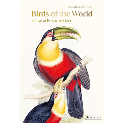 伊丽莎白·古尔德的艺术