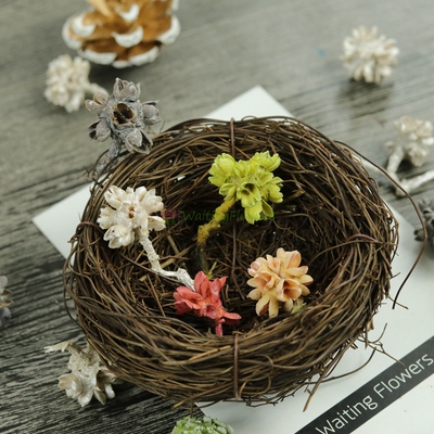 手工制作蝴蝶果小干花大地农园