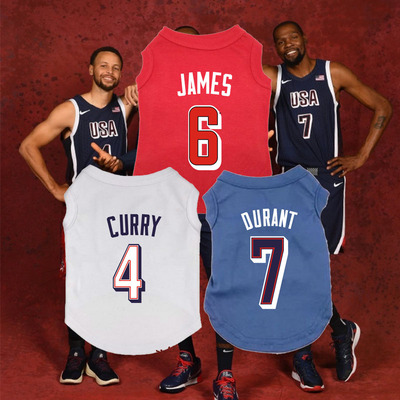 美国队狗狗柯基四季可穿詹姆斯哈士奇萨摩库里杜兰特猫咪宠物衣服