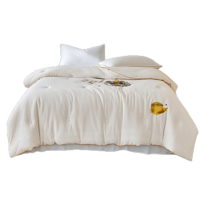 伊伊爱BZ0TDC2301126 云柔针织大豆秋冬被 180*220cm/5斤