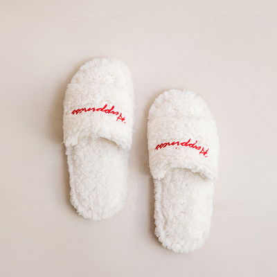 秋冬毛绒拖鞋字母刺绣一字拖百搭休闲静音家居地板拖鞋女