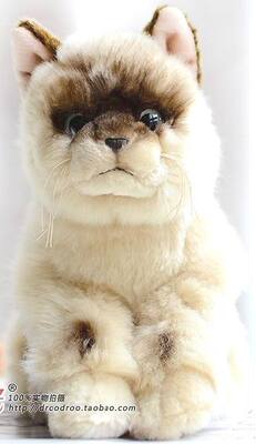 （定做）仿真暹罗猫siamese cat毛绒玩具公仔