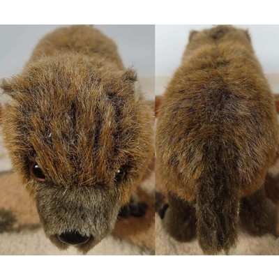 （代购）日本A-SHOW仿真薮犬bush dog毛绒玩具stuffed plush toy