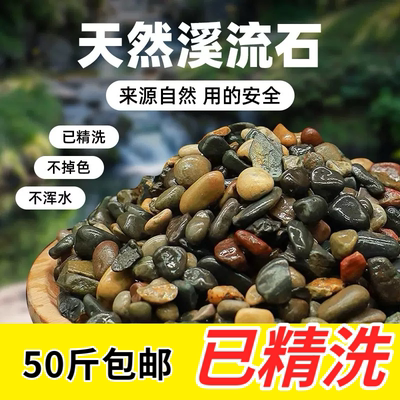 精洗天然溪流沙50斤造景鱼缸底砂免洗鹅卵石造景石鱼缸铺底石子