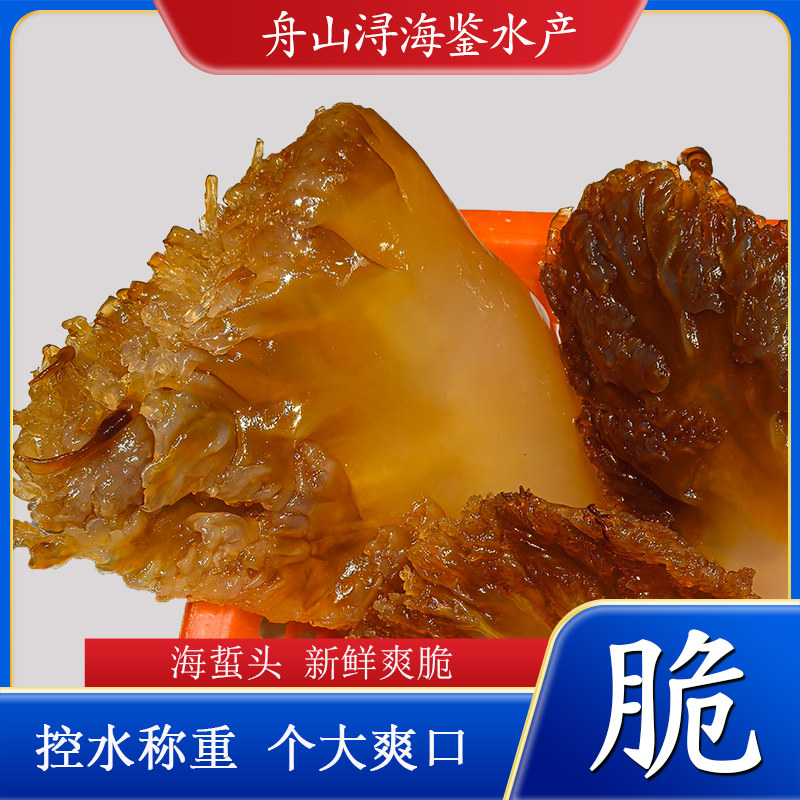 舟山特产野生年货凉菜新鲜凉拌大海蜇头无沙爽脆非特级非即食新鲜