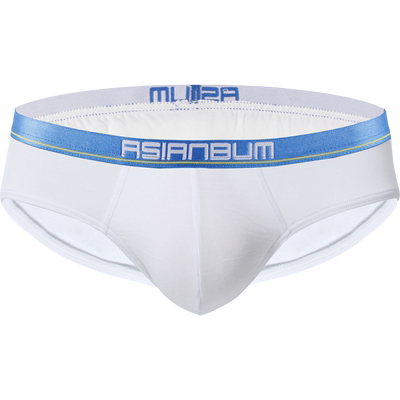 asianbum莫代尔低腰性感三角裤