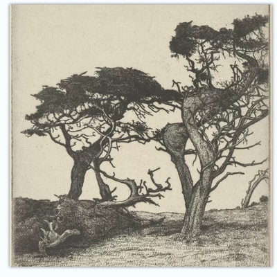 C284【美国】Ernest Haskell 版画插图素描速写网传电子图库