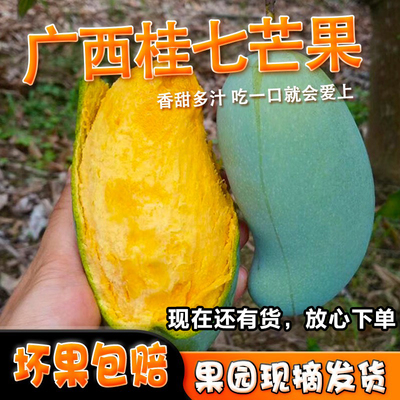 广西田东桂七芒果9斤新鲜水果包邮百色特产甜青皮桂七香芒