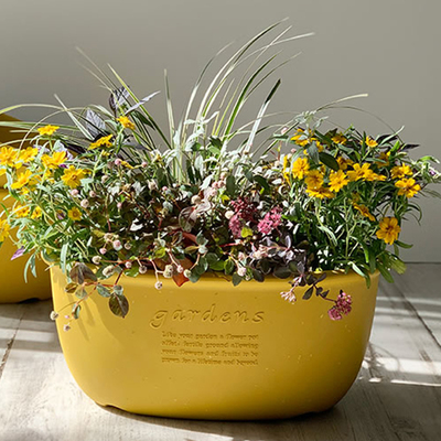 HachimanGardens椭圆花盆盆景