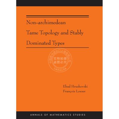 按需印刷 Non-Archimedean Tame Topology and Stably Dominated Types 非阿基米德拓扑学与稳定主导型 英文原版普林斯顿出版社