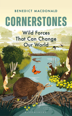 基石 可以改变我们世界野生力量 英文原版 Cornerstones: Wild forces that can change our world