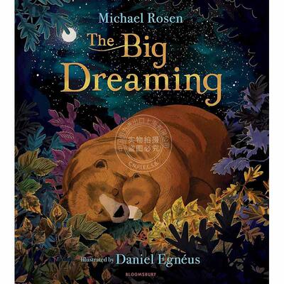 大梦想 迈克尔罗森 Michael Rosen 儿童绘本故事书 英文原版 The Big Dreaming 0-5岁