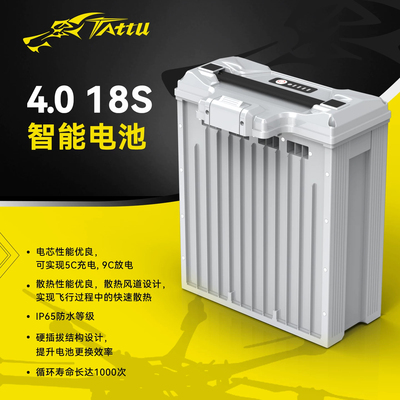 ACE格氏18s智能电池3500018S