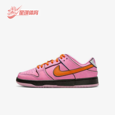 Nike/耐克正品Dunk SB 小童日常低帮潮流经典复古板鞋FZ3351-600