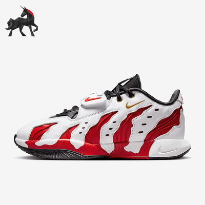 Nike/耐克正品LeBron 96 EP男士时尚经典户外篮球鞋HV1222-100