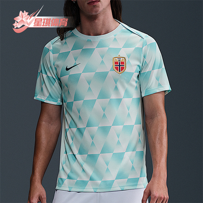 Nike/耐克正品男士吸汗排汗修身足球运动短袖T恤FZ9713-474