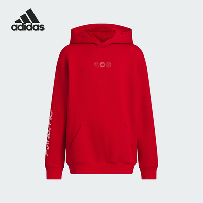 Adidas/阿迪达斯正品秋冬新款儿童连帽保暖户外卫衣JN4383