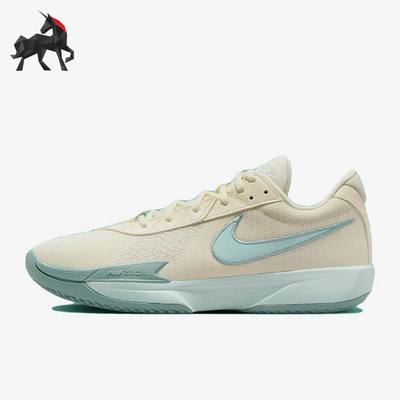 Nike/耐克男士低帮篮球鞋