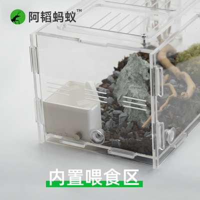 生态蚁巢内置蚂蚁垃圾喂食区带提手养蚁配件可拆卸阿韬ants