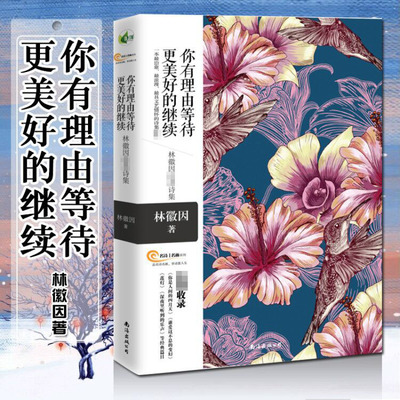 【双封面+双书脊+四色精美彩绘】 你有理由等待更美好的继续 林徽因诗集 名诗名画系列精选集