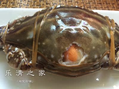 炝蟹温州优秀野生咸呛1只时价