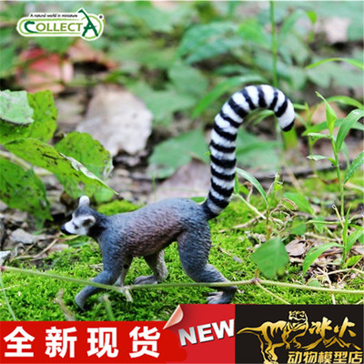 COLLECTA我你他 野生动物模型玩具2018环尾狐猴88831全新现货