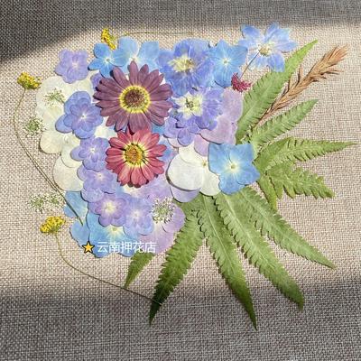 8-A4艺术押花材料干花相框