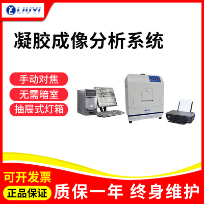 六一凝胶成像分析化学发光成像