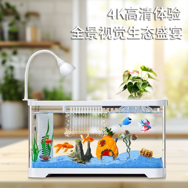 桌面鱼缸客厅2026新款透明塑料办公室乌龟缸饲养金鱼造景生态缸