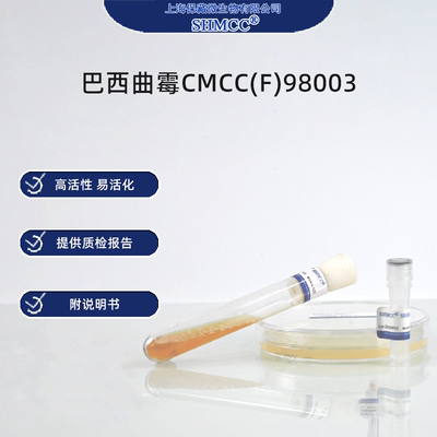 巴西曲霉CMCC98003 防霉测试 药品卫生检验 标准菌株 上海顺丰