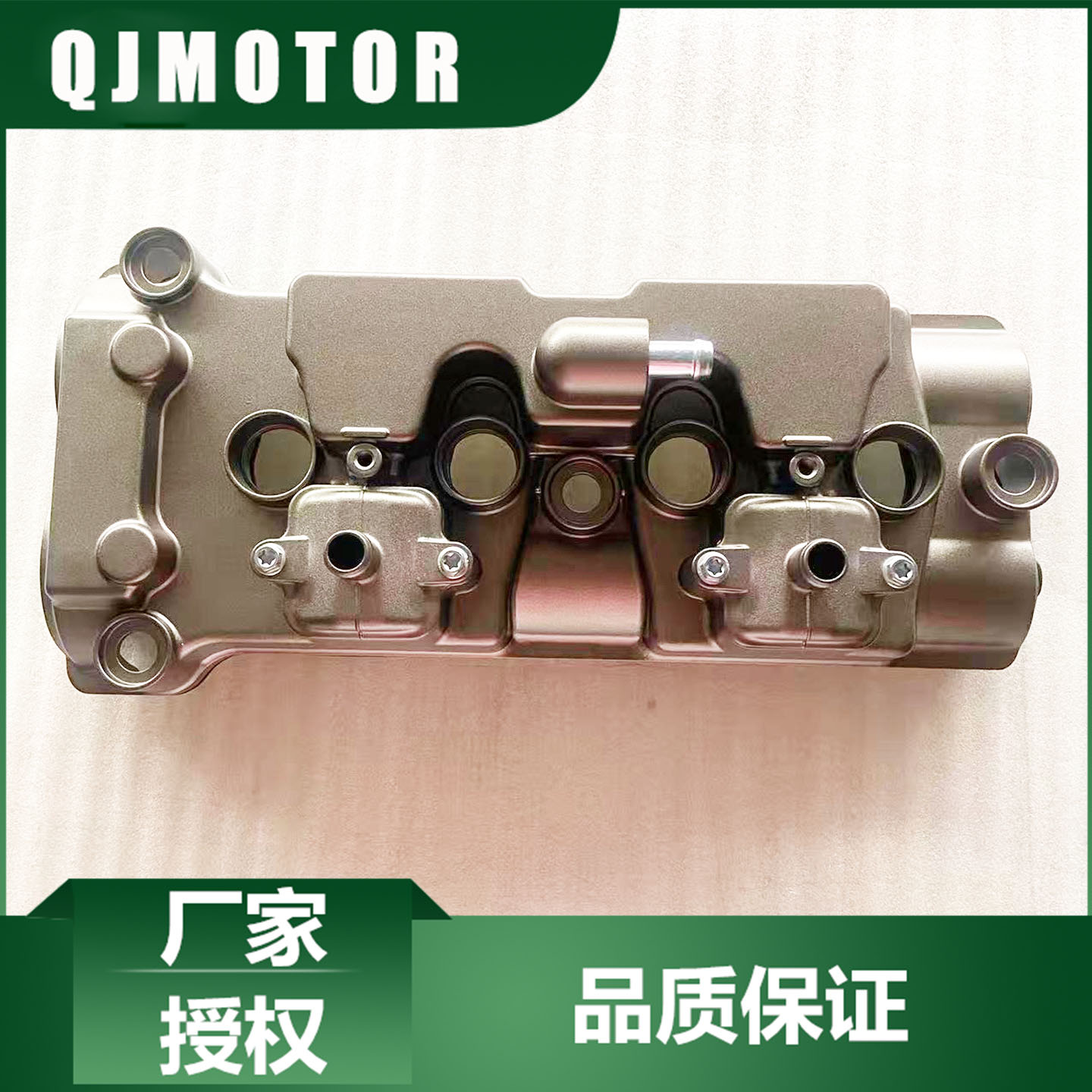 钱江QJ摩托原厂配件赛600RS赛800 QJ700GS-L/QJ800GS-G气缸盖罩