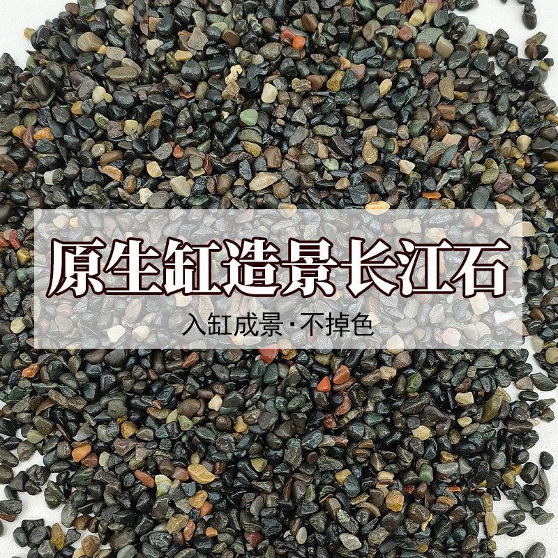 天然长江溪沙鱼缸专用底砂原生造景溪流沙子龟缸鹅卵石铺底大矶沙