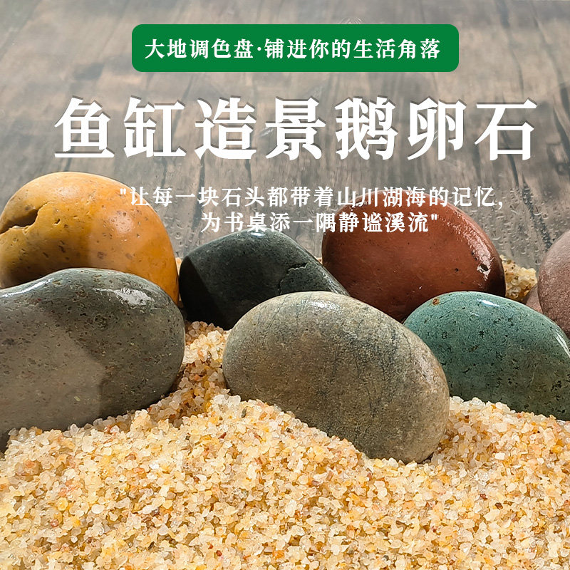 天然鹅卵石长江石彩色原石鱼缸造景彩石鱼缸装饰鱼缸造景石五彩