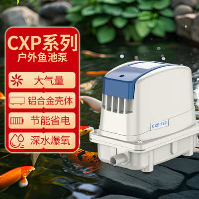 格池鱼池大气量增氧气泵鱼塘专用充氧泵防雨淋打氧机CXP系列