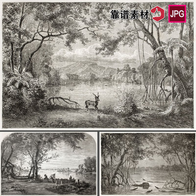 欧式古典复古乡村树林大树风景画手绘素描装饰画JPG图片设计素材