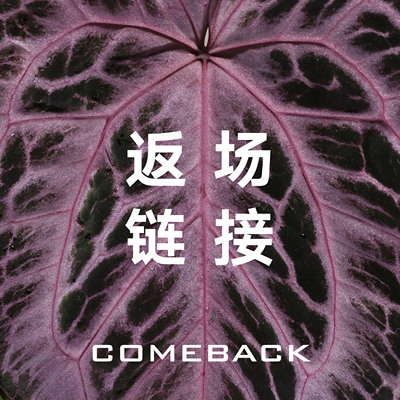 活性植物/ 小克莱恩的返场链接 物拍+组盒 天南星科室内热植花烛
