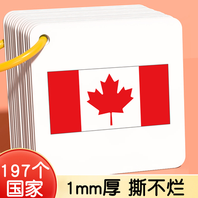 【197个国家】【撕不烂】国旗卡