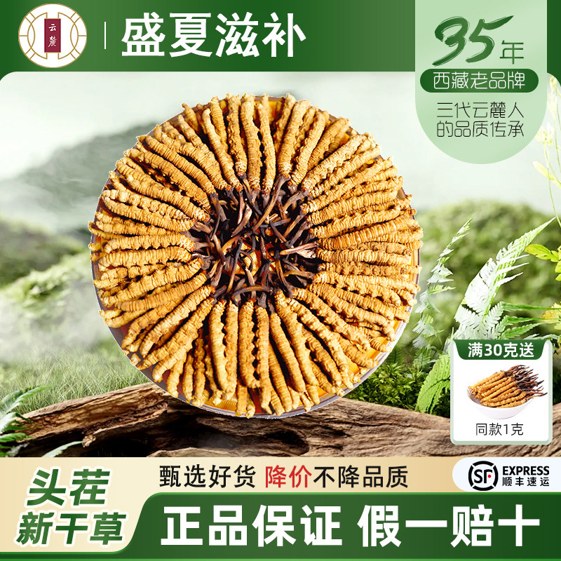 【西藏直发】云麓冬虫夏草3根/克头期新鲜虫草干货礼盒装自用3根