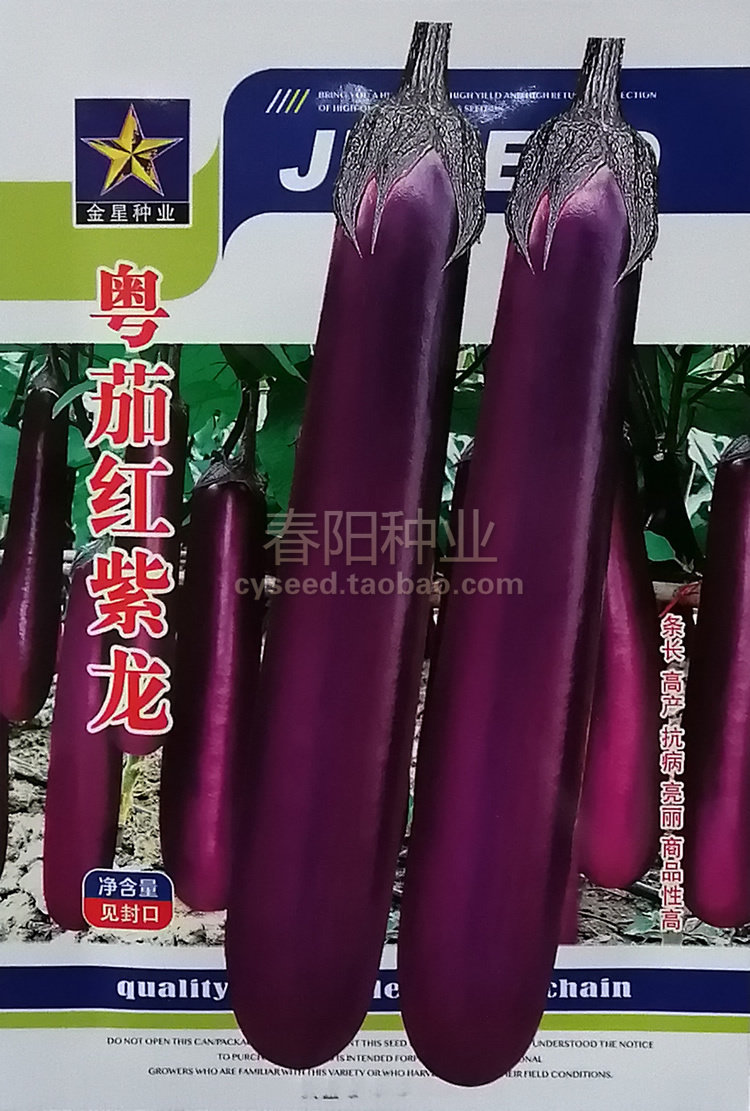 粤茄红紫龙 紫红长茄种子 一代杂交高产紫红茄子 条长 果型优美
