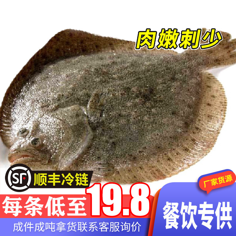 鲜活速冻多宝鱼5条约4-5斤野生比目鱼新鲜海鱼龙利鱼鸦片鱼平鱼